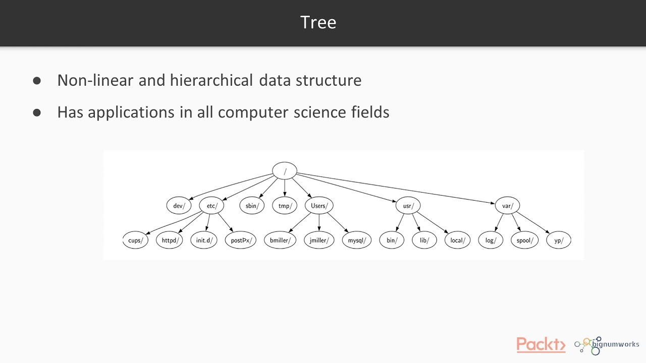 Python Data Structures and Algorithms: Basic Python Coding for Trees | packtpub.com