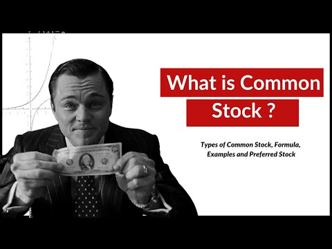 What is Common Stock? Types of Common Stock, Formula, Examples and Preferred Stock