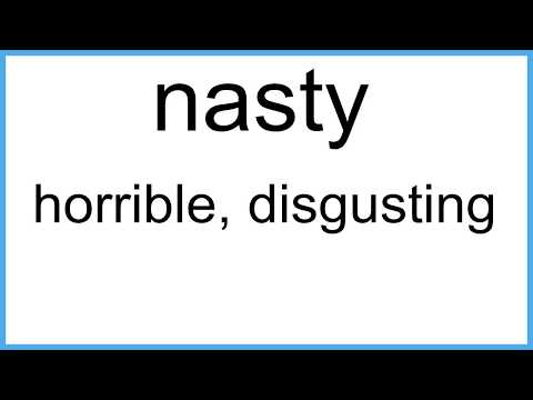 nasty The New English Dictionary meaning | Vocabulary for Kids | Children's Dictionary
