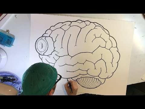Drawing brains