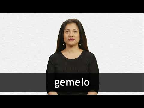 English Translation of “GEMELO” | Collins Spanish-English Dictionary