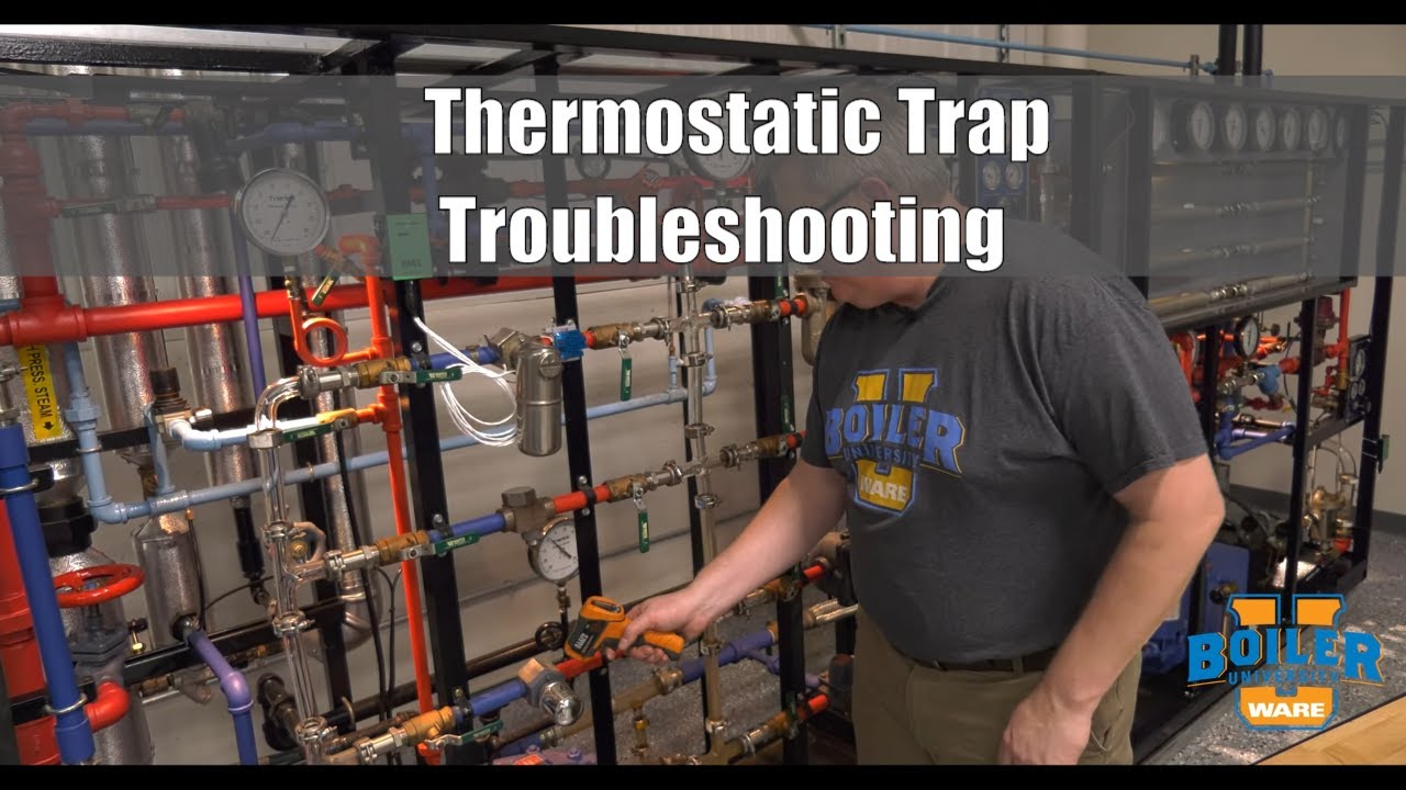 Steam Traps | Thermostatic Traps Troubleshooting - Weekly Boiler Tips