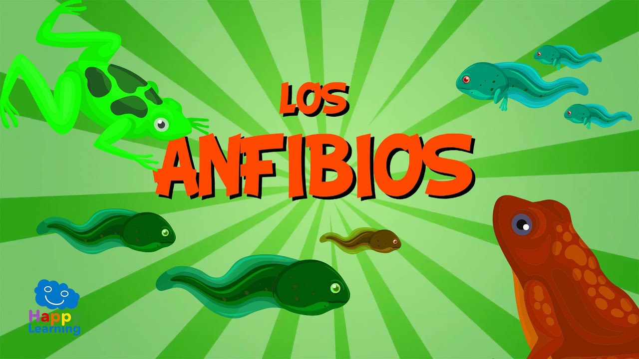 Los Anfibios | Vídeos Educativos para Niños