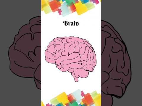 Draw Brain | Easy drawing | #drawings #shorts