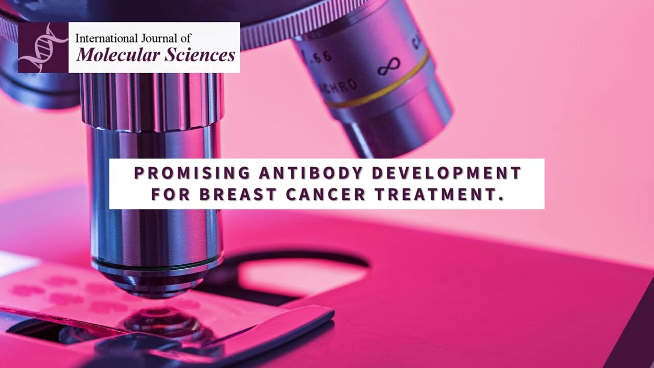 Promising antibody development for breast cancer treatment