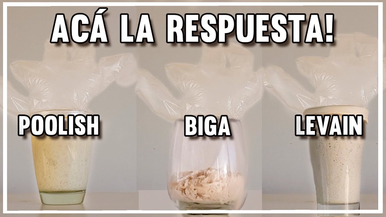 What Yeast Should I Use for Bread or Pizza?