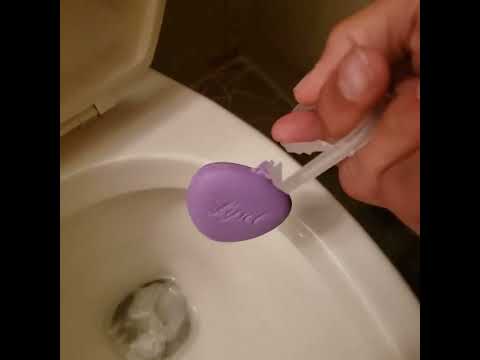 Lysol Automatic In-The-Bowl Toilet Cleaner Installation In the Bowl Install