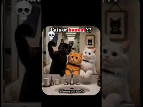Cats or human? ☠️ #cats #trollface #edit #shorts