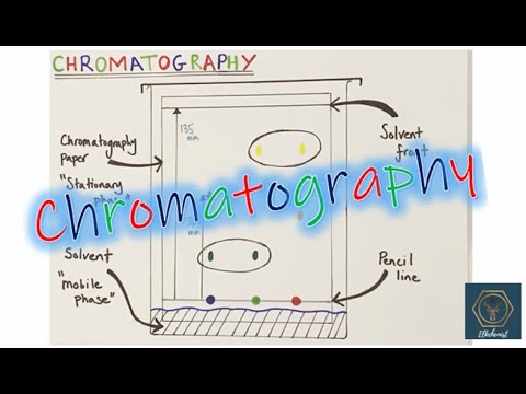 Chromatography & RF Calculations | GCSE - If Confused, This Surprisingly Simple Explanation May Help