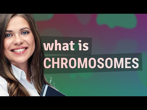 Chromosomes | meaning of Chromosomes