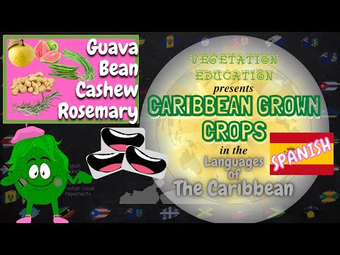🇪🇸 Guava, Beans, Cashew & Rosemary in Spanish! #VegetationEducation