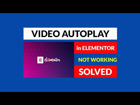 Elementor video autoplay and loop not working | WordPress | Autoplay