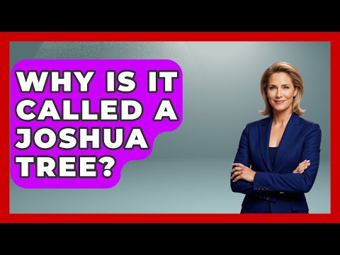 Why Is It Called A Joshua Tree? - The Plant Enthusiast