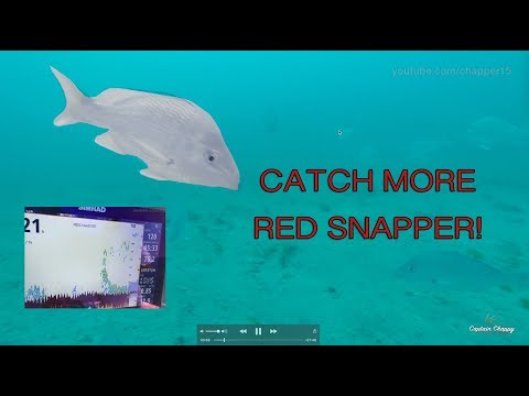How to find red snapper stacks in the Gulf of Mexico!