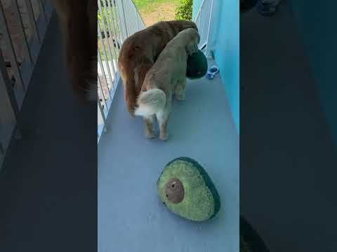 Daily snaps 5/15/25
