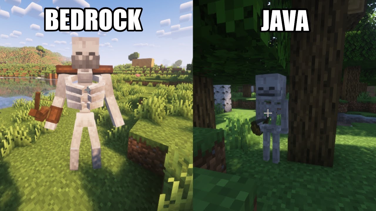 Bedrock skeleton VS Java skeleton