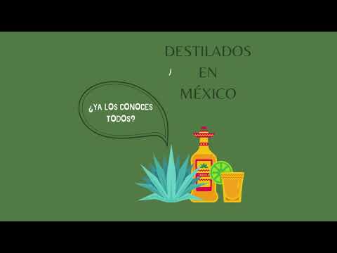 ¿Cuáles son las bebidas con más alcohol que existen en el mundo?