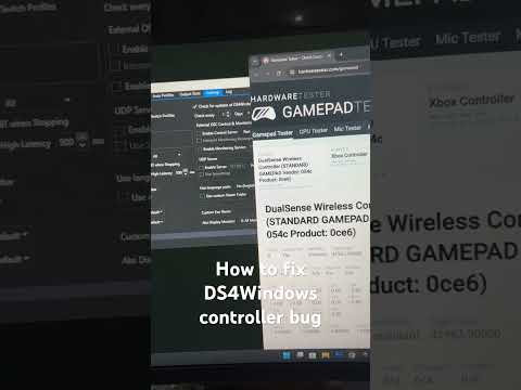 How to fix DS4Windows controller double input/fps bug