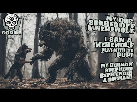 I Saw a Werewolf Playing With Its Pup! My Little Dog Scared Off a Werewolf!
