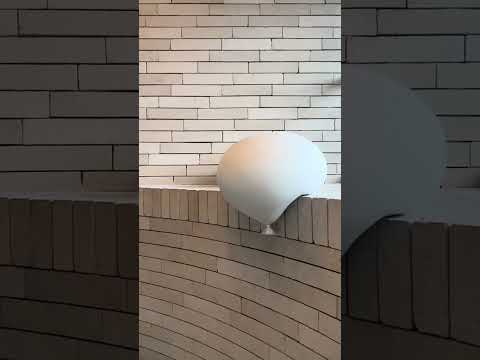 Behind the Scenes | The Home and Studio of William Smart