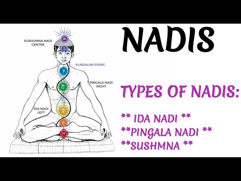 What is Nadi? | Types of Nadi | Ida | Pingala | Sushumna | Nadi | Kundalini |