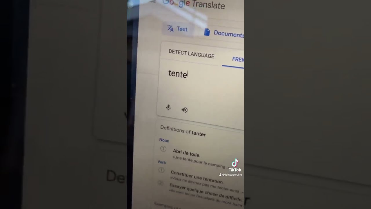 The French language has many words that sound similar