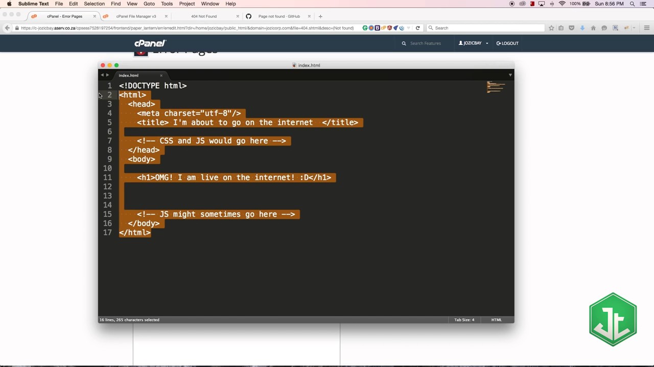 cPanel beginner tutorial 9   Custom Error Pages
