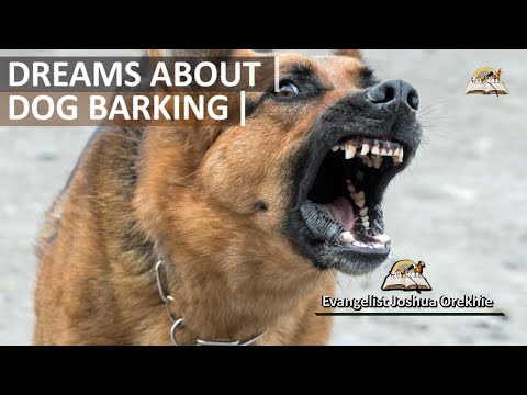 Dreams About Dog Barking At You - Spiritual Meaning of Barking Dogs
