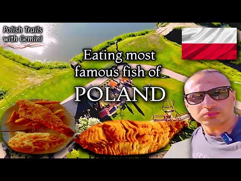 Zjedz najlepszą świeżą rybę w pięknej restauracji z owocami morza | Warszawa | Polska | Europa