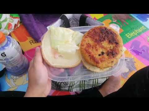 Short trip to white pine beach |Dinner at Green lettuce restaurant | Vlog 41