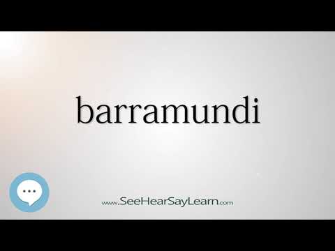 barramundi