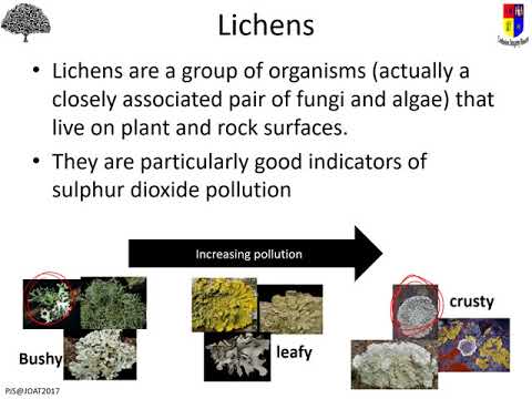 BiN5 LE2f indicator species