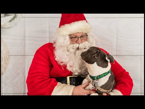PSA - Lowell Humane Society's Holiday Bazaar and Photos With Santa Event