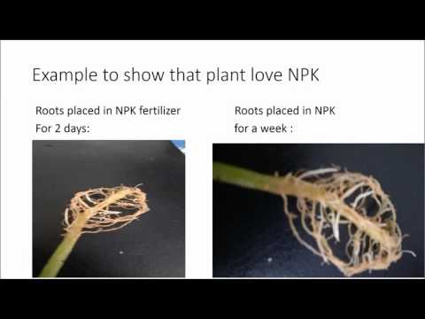 know your fertilizer: what npk really means