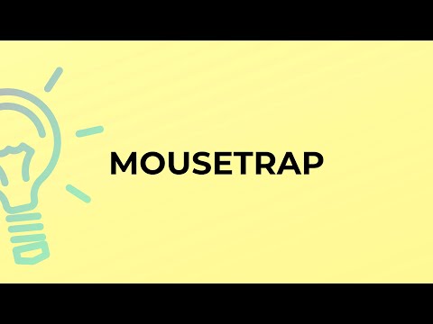 What is the meaning of the word MOUSETRAP?