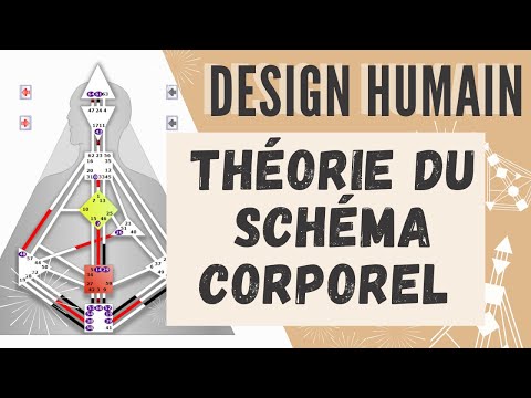Description théorique du schéma corporel en DESIGN HUMAIN