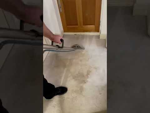 All You Need to Know About Steam Cleaning of Carpets