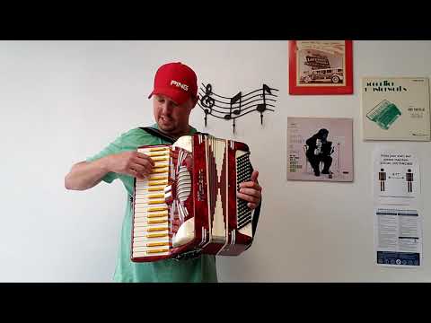 (SOLD!) - Modern - student size accordion (Carnegie Accordion Company)
