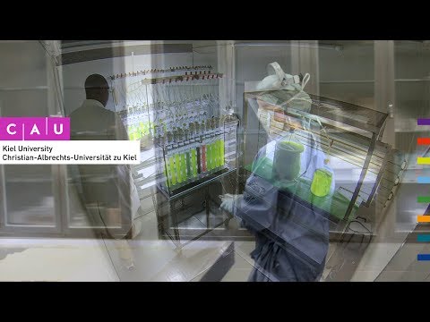 Cutting-edge research in northern Germany: Kiel University