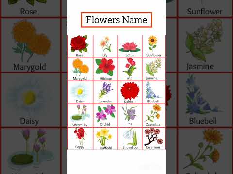 Flowers name with Pictures, Names of flower, phoolo ky naam #education