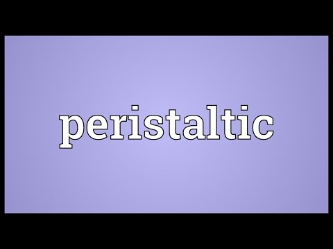 Peristaltic Meaning