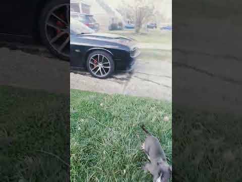 F dodge warranty