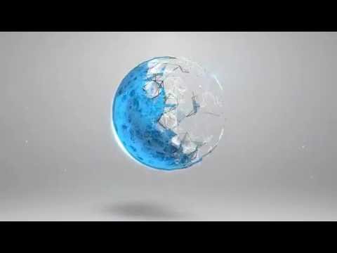 Bluefish Tech Solutions Company Video