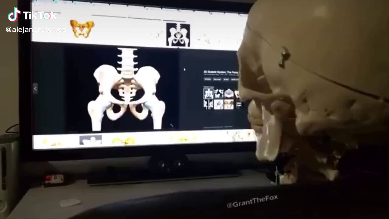 Skeleton nuts on computer