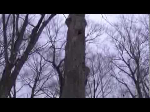 Sap to Syrup | Pure Vermont Maple