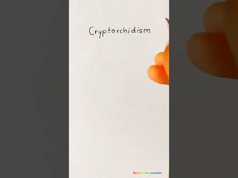 What is cryptorchidism? #shorts