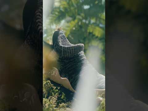 Barefoot Shoes for Toddlers - The Pluma
