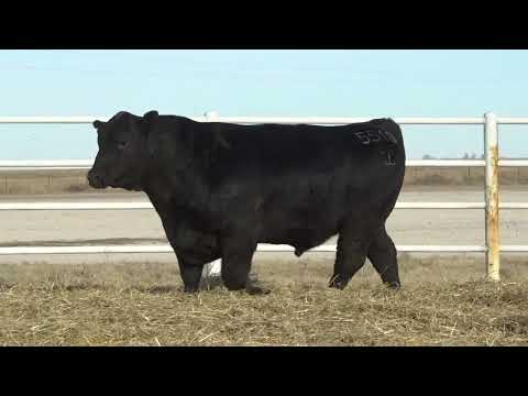 Lot 10, G A R Home Town 5510