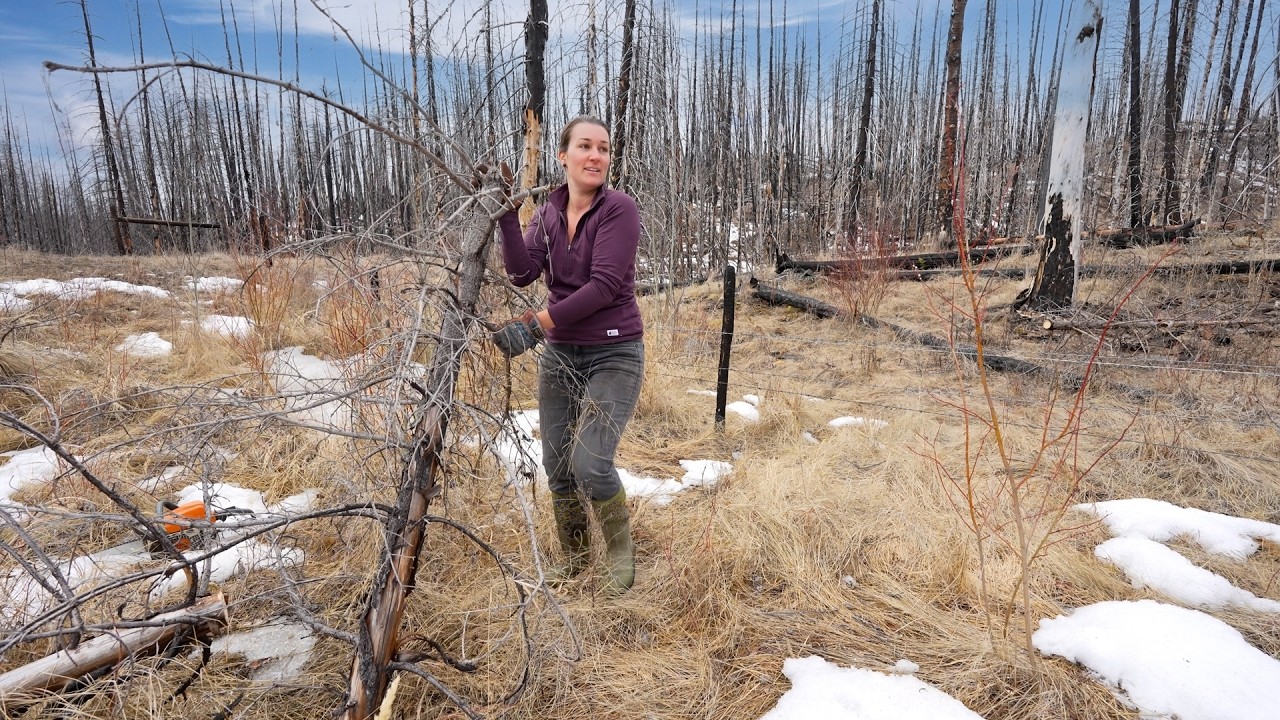 Fencing Our 300 Acre Burnt Off Grid Ranch: Returning To The Machine That Caused Serious Injury