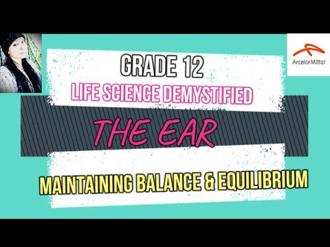 Grade 12 – Maintaining Balance & Equilibrium. – ArcelorMittal Sebokeng ...